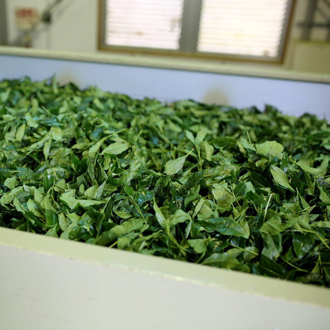 About Us – Matchaful